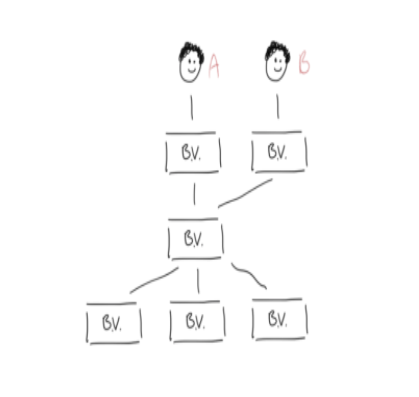 Waar moet u op letten bij een BV structuur?
